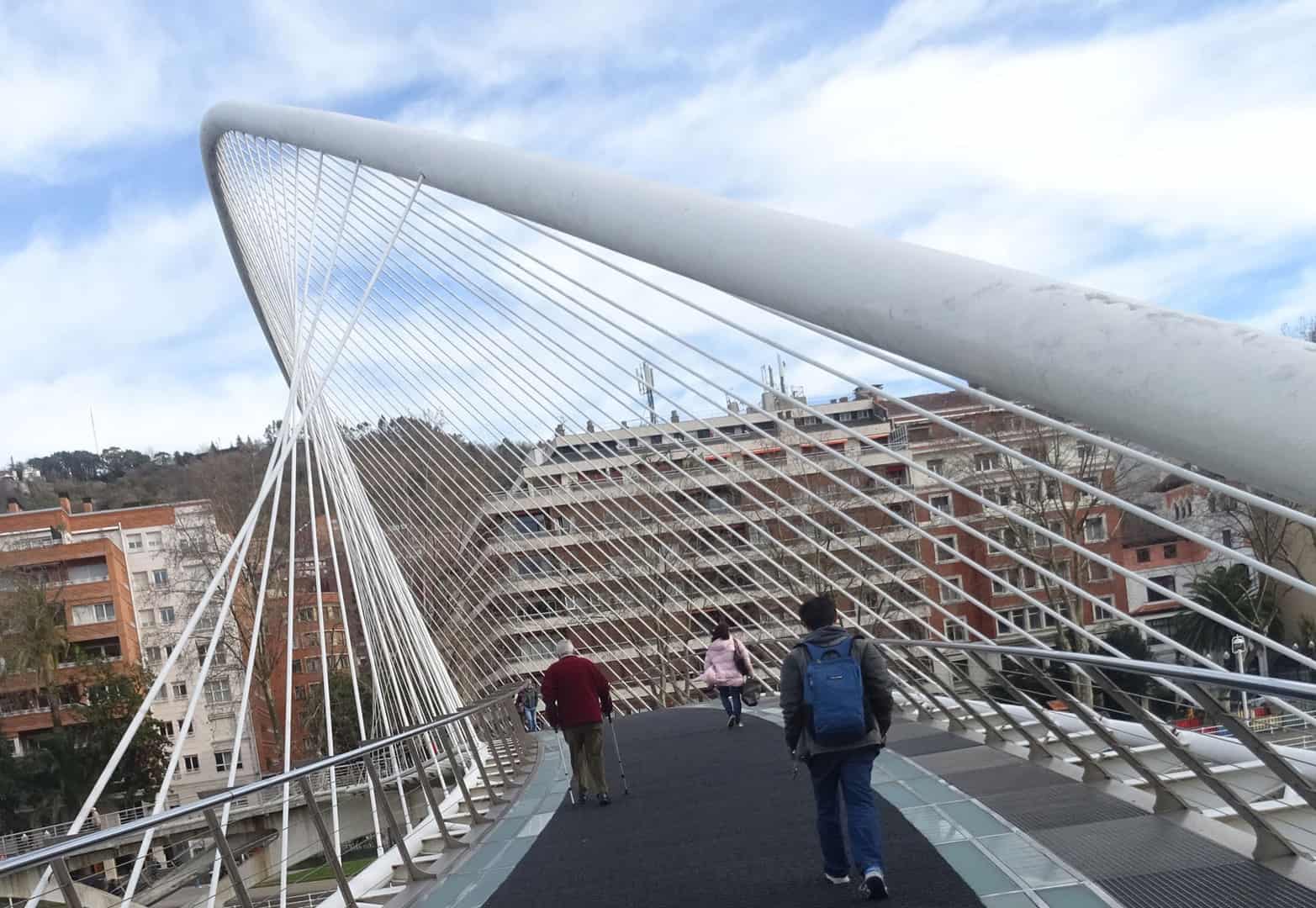 La solución anticaídas del puente Zubizuri, en DMAX - Fhimasa